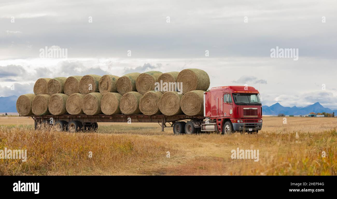 Hay bale truck transport hi-res stock photography and images - Alamy