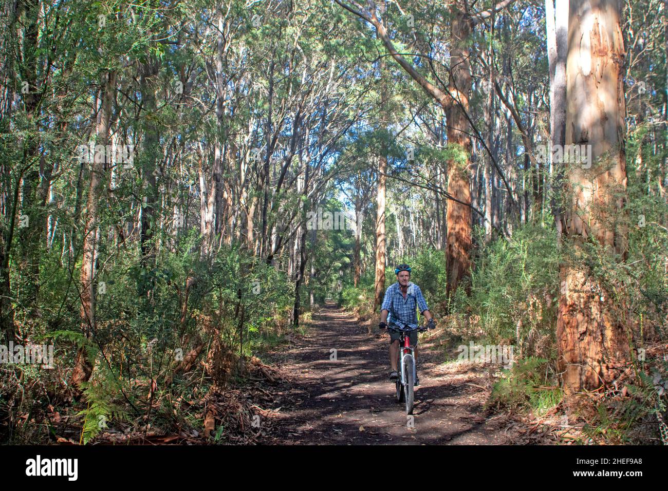 Cycling on the Wadandi Track Stock Photo - Alamy
