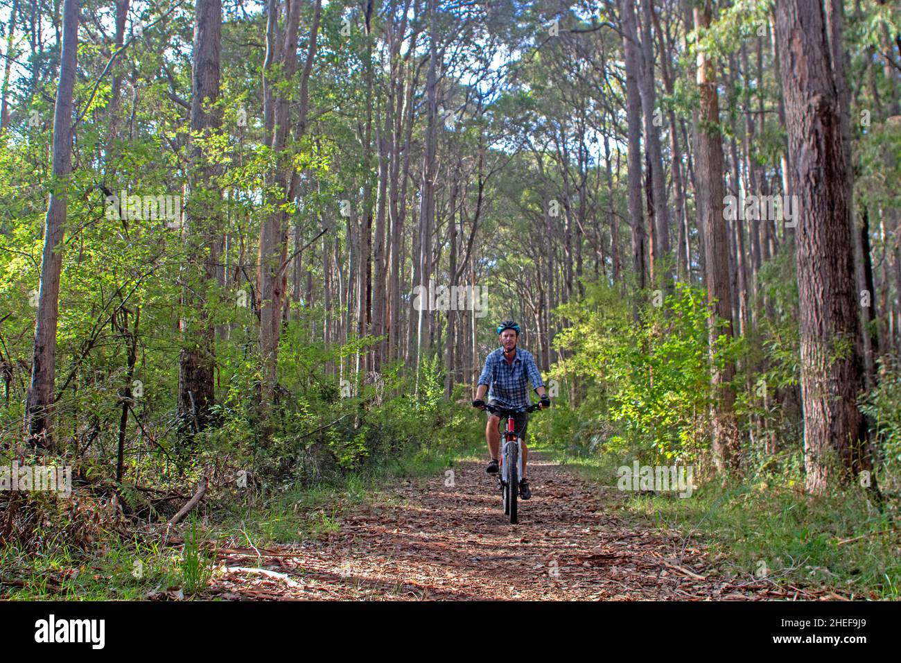 Wadandi hi-res stock photography and images - Alamy