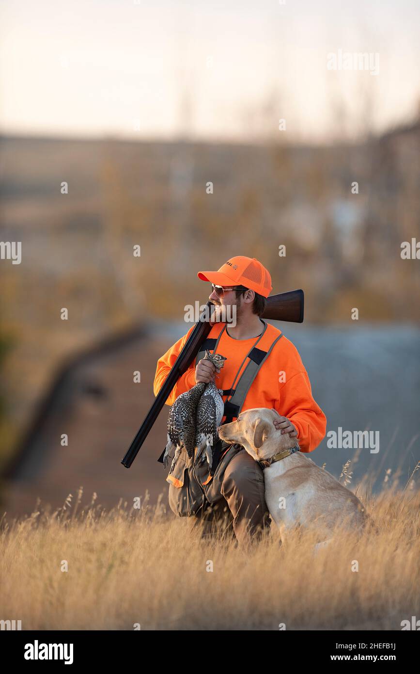 A hunter and his Yellow Labrador Retriever out Sharptail Grouse hunting ...