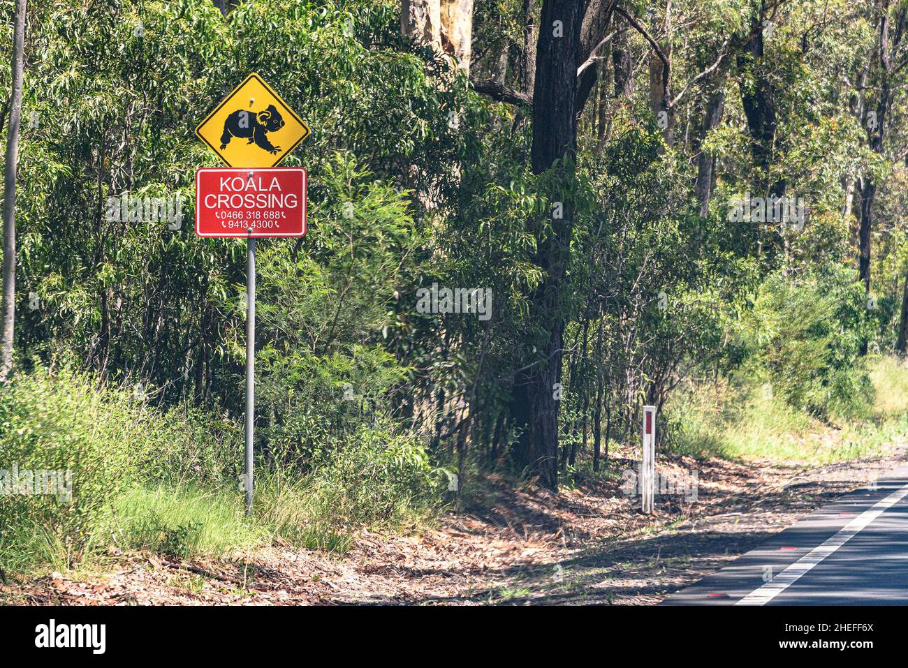 A koala crossing road sign outside Sydney, Australia Stock Photo - Alamy