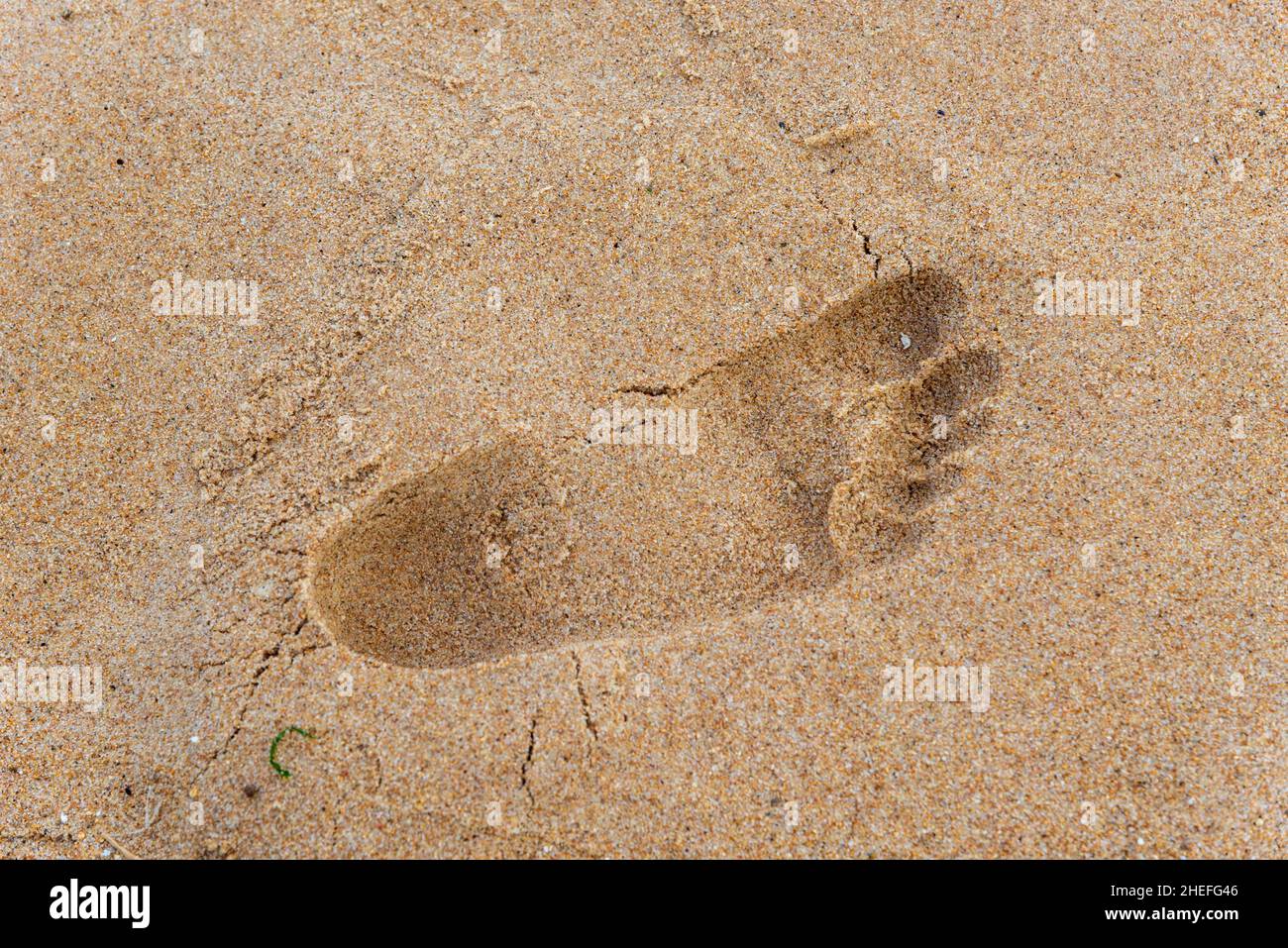Footprints and shapes in the brown sand of the famous Rio Vermelho ...