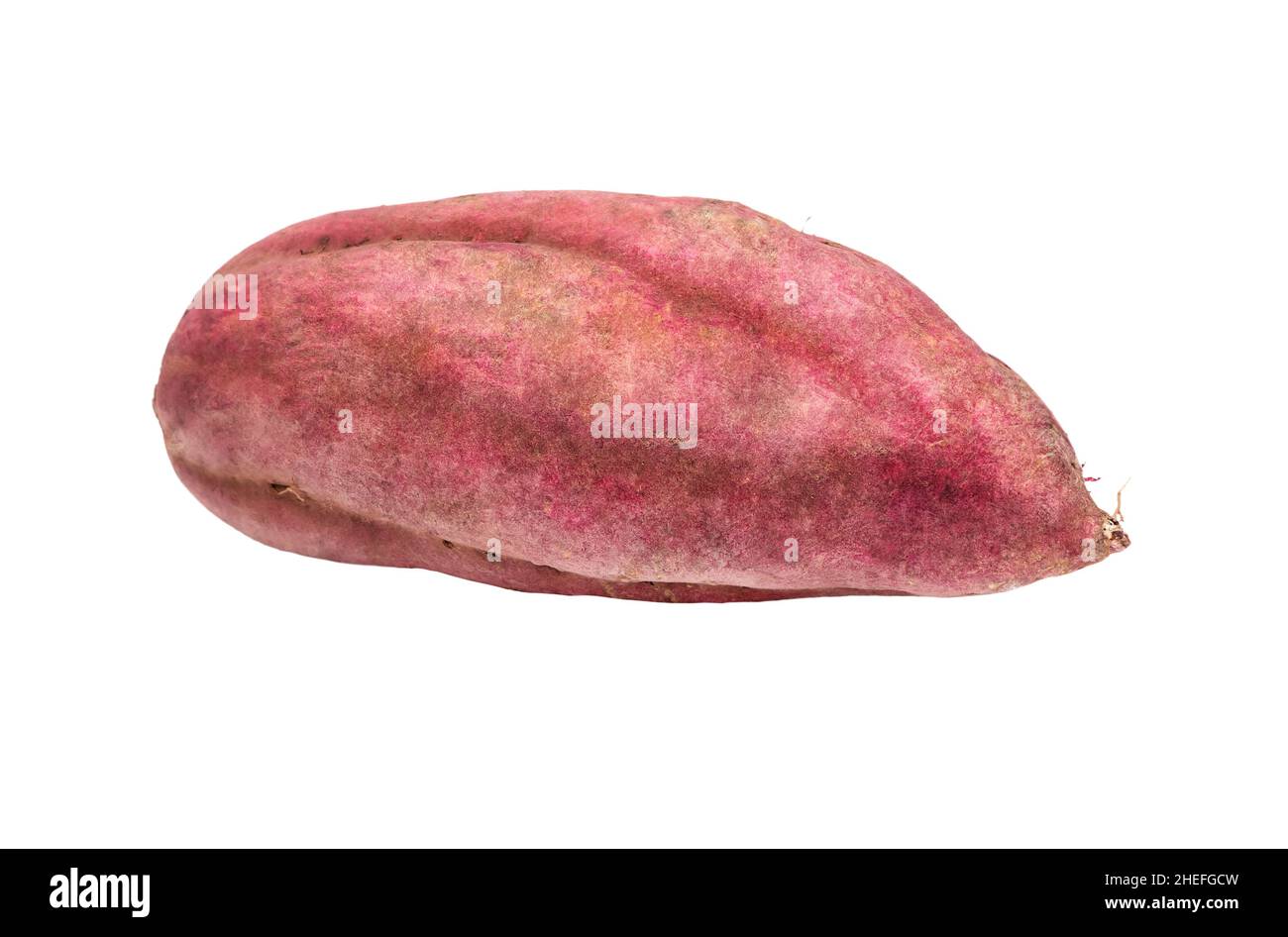 Red sweet potato yam isolated on white background Stock Photo - Alamy