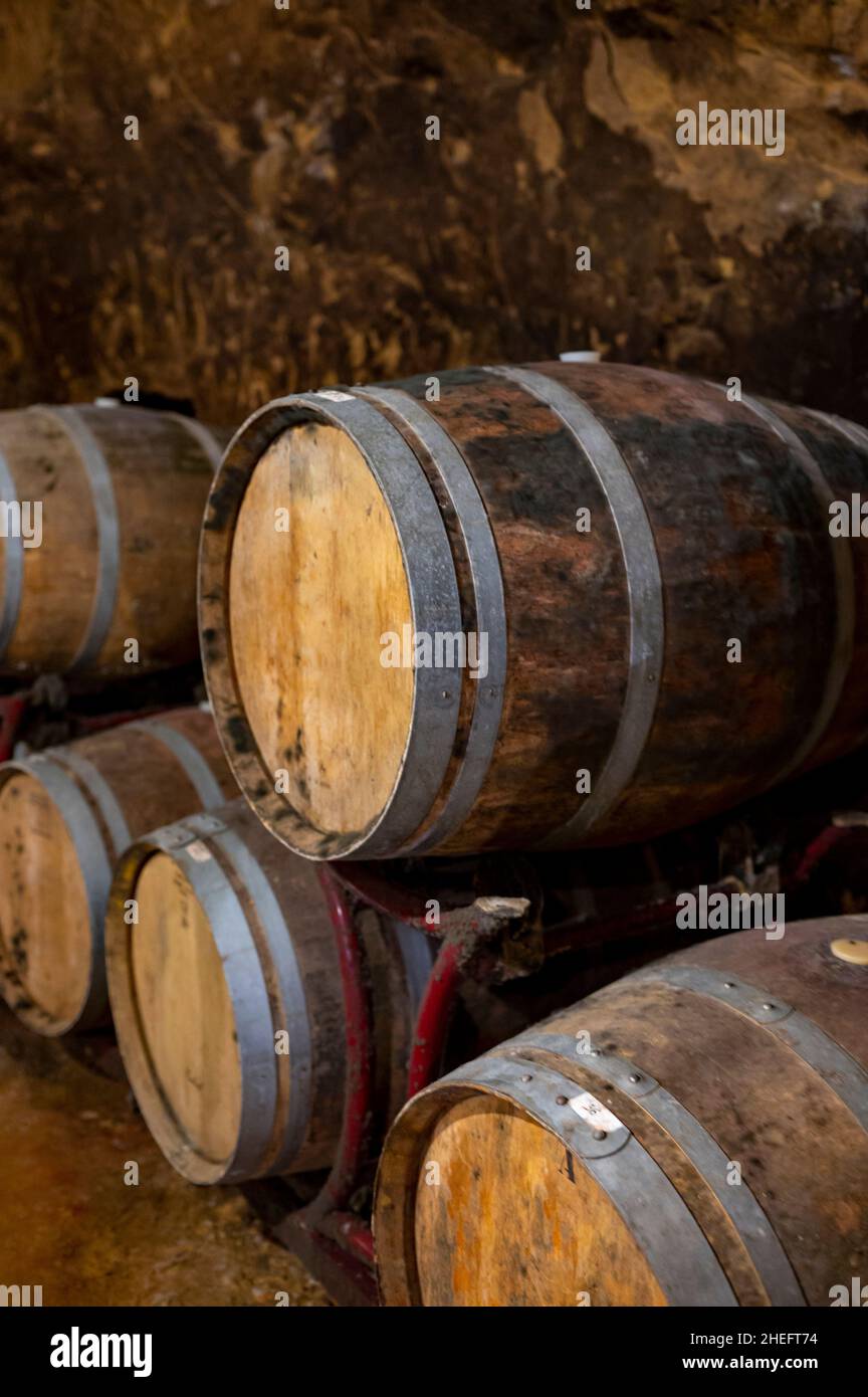 Medieval underground wine cellars with old red wine barrels for aging ...