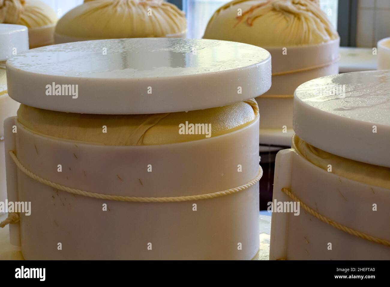 Traditional process of making from cow milk wheels of parmigiano ...