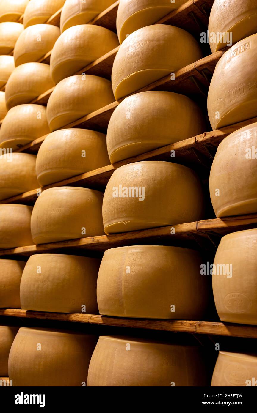 Process of making parmigiano-reggiano parmesan hard cheese on small ...