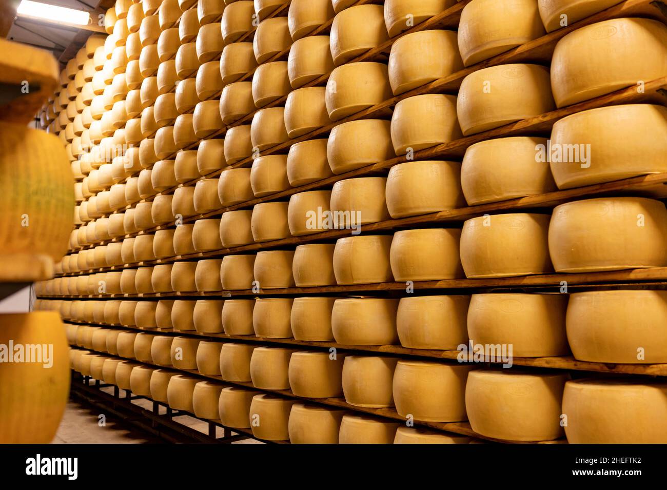 Process of making parmigiano-reggiano parmesan hard cheese on small ...