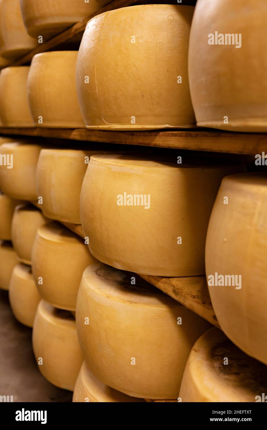 Process of making parmigiano-reggiano parmesan hard cheese on small ...