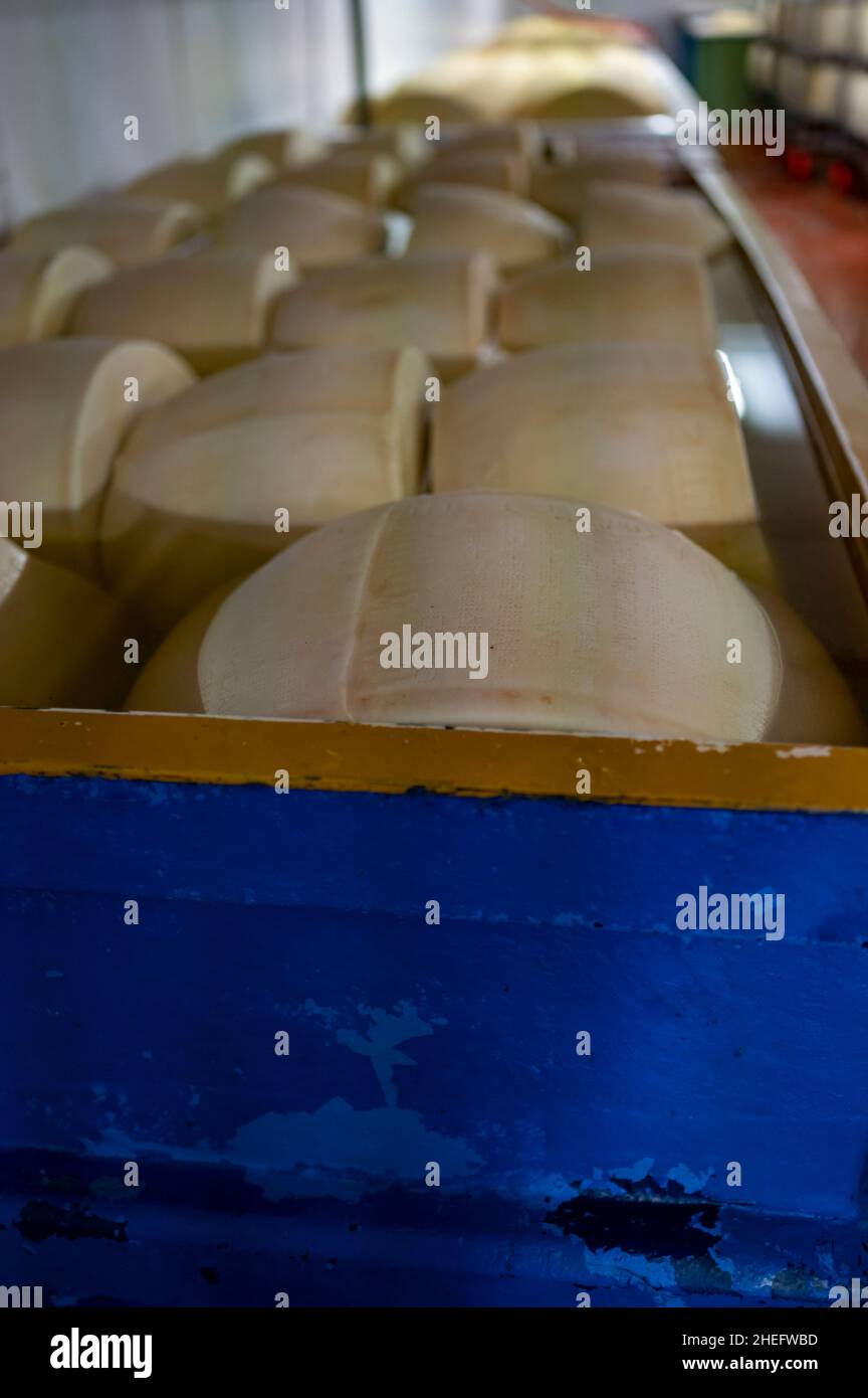 Process of making parmigiano-reggiano parmesan hard cheese on small ...