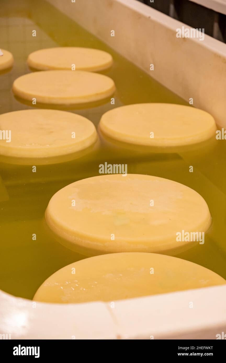 Process of making parmigiano-reggiano parmesan hard cheese on small ...