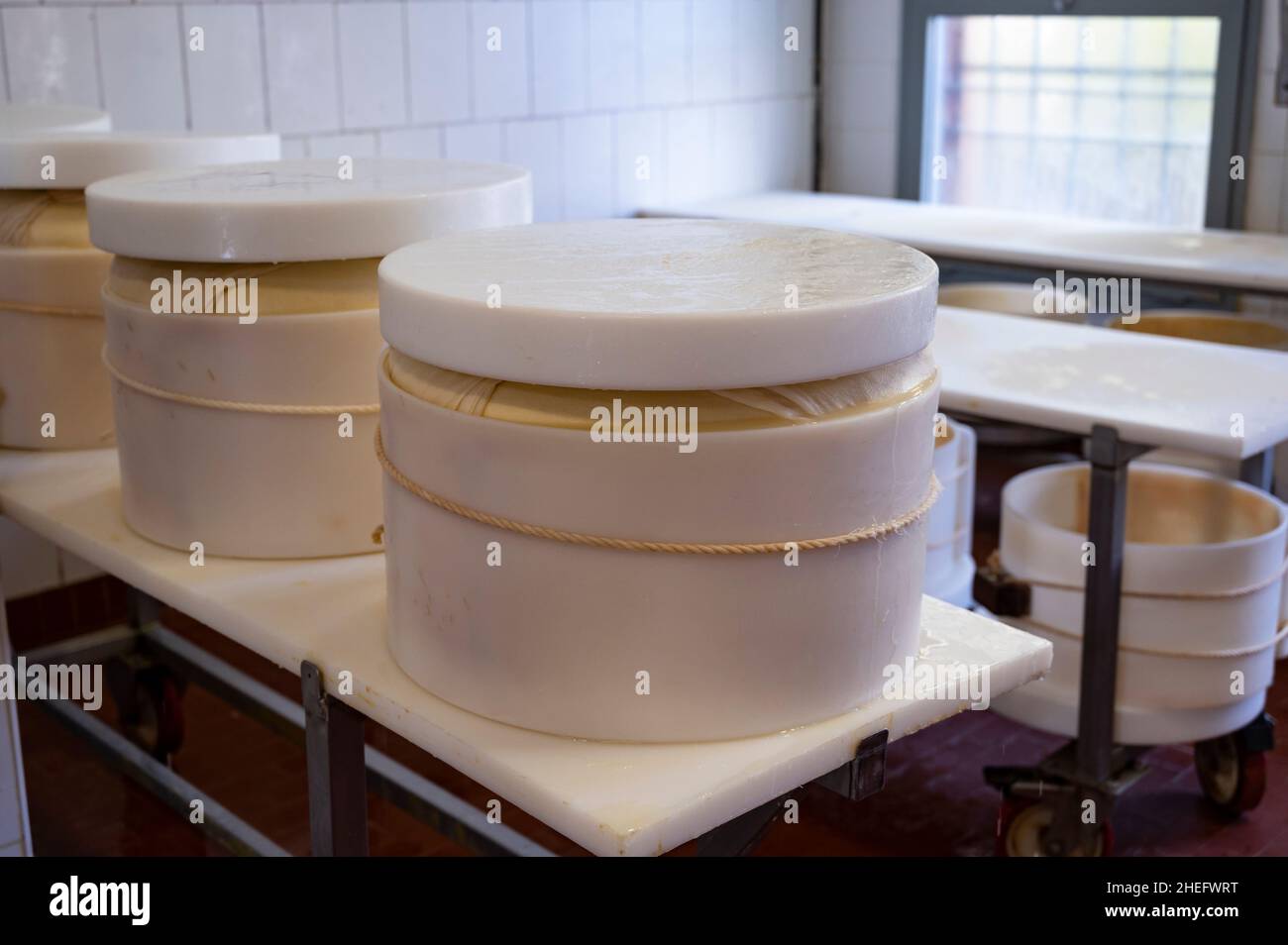 Traditional process of making from cow milk wheels of parmigiano ...