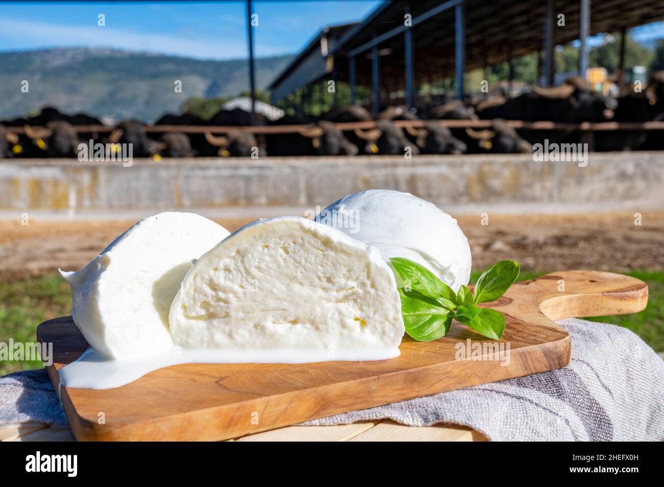 Campaña italiana hi-res stock photography and images - Alamy
