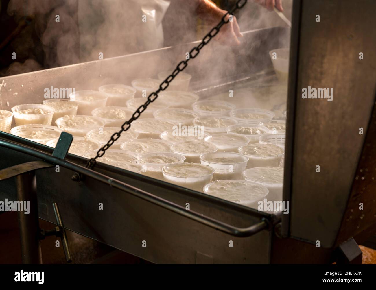 Process of making fresh white soft ricotta whey cheese early morning on ...