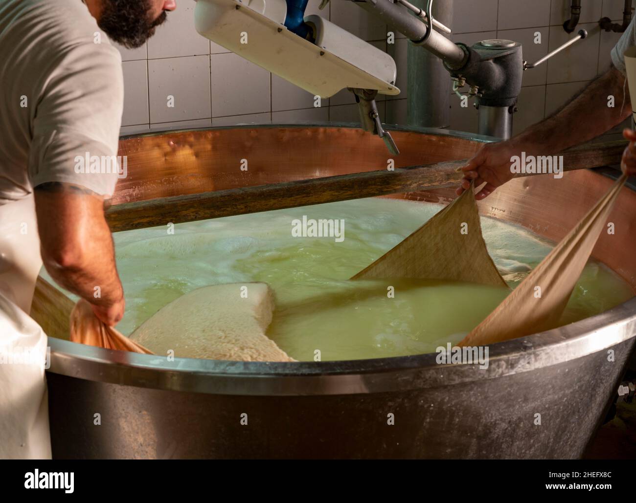Traditional process of making from cow milk wheels of parmigiano ...