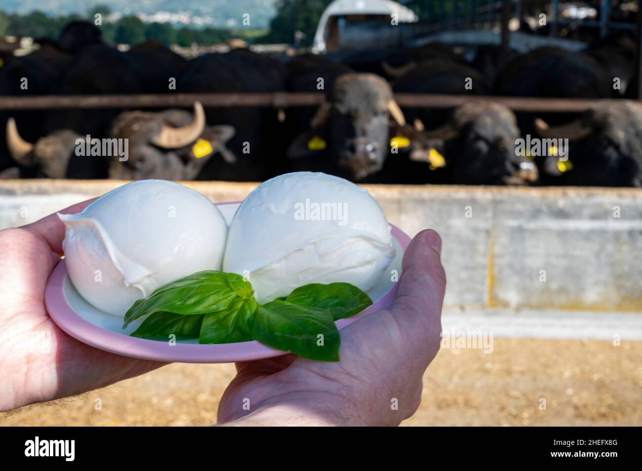 Campaña italiana hi-res stock photography and images - Alamy