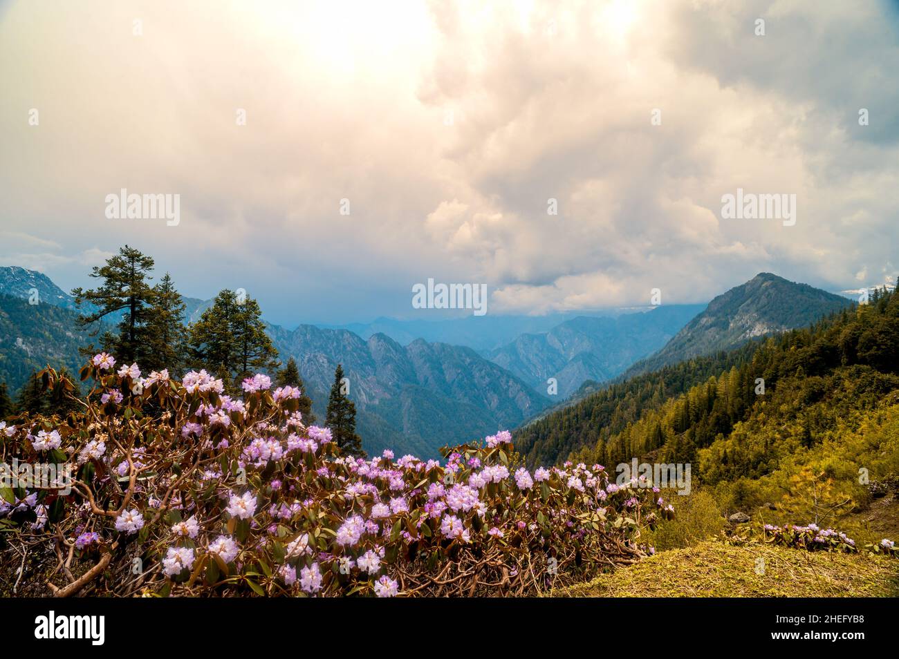Mountain landscape with clouds, meadows. Himalayas peaks & alpine l ...