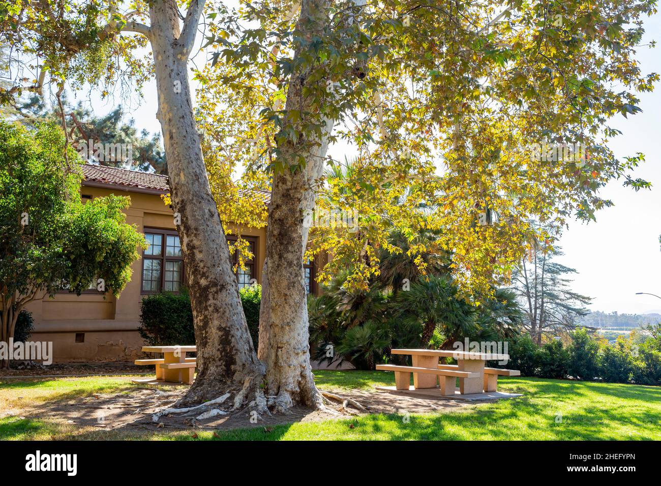 University of california at riverside hi-res stock photography and ...