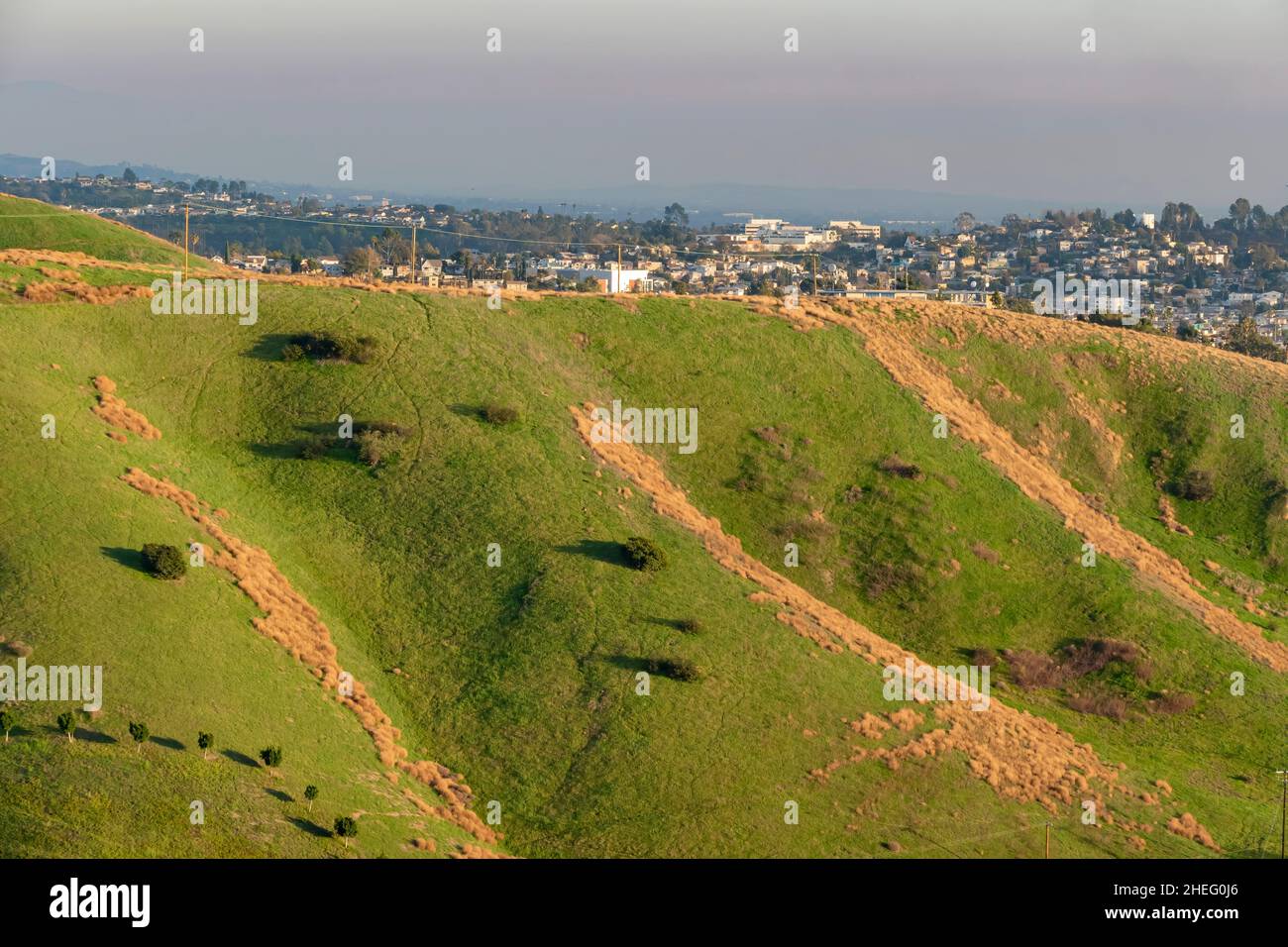Afternoon landscape of Ascot Hills Park at Los Angeles Stock Photo - Alamy