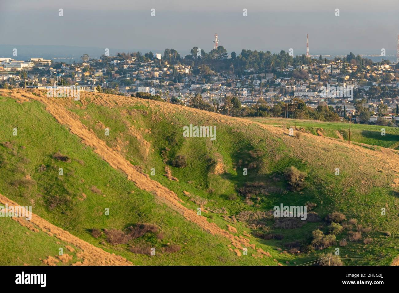 Afternoon landscape of Ascot Hills Park at Los Angeles Stock Photo - Alamy