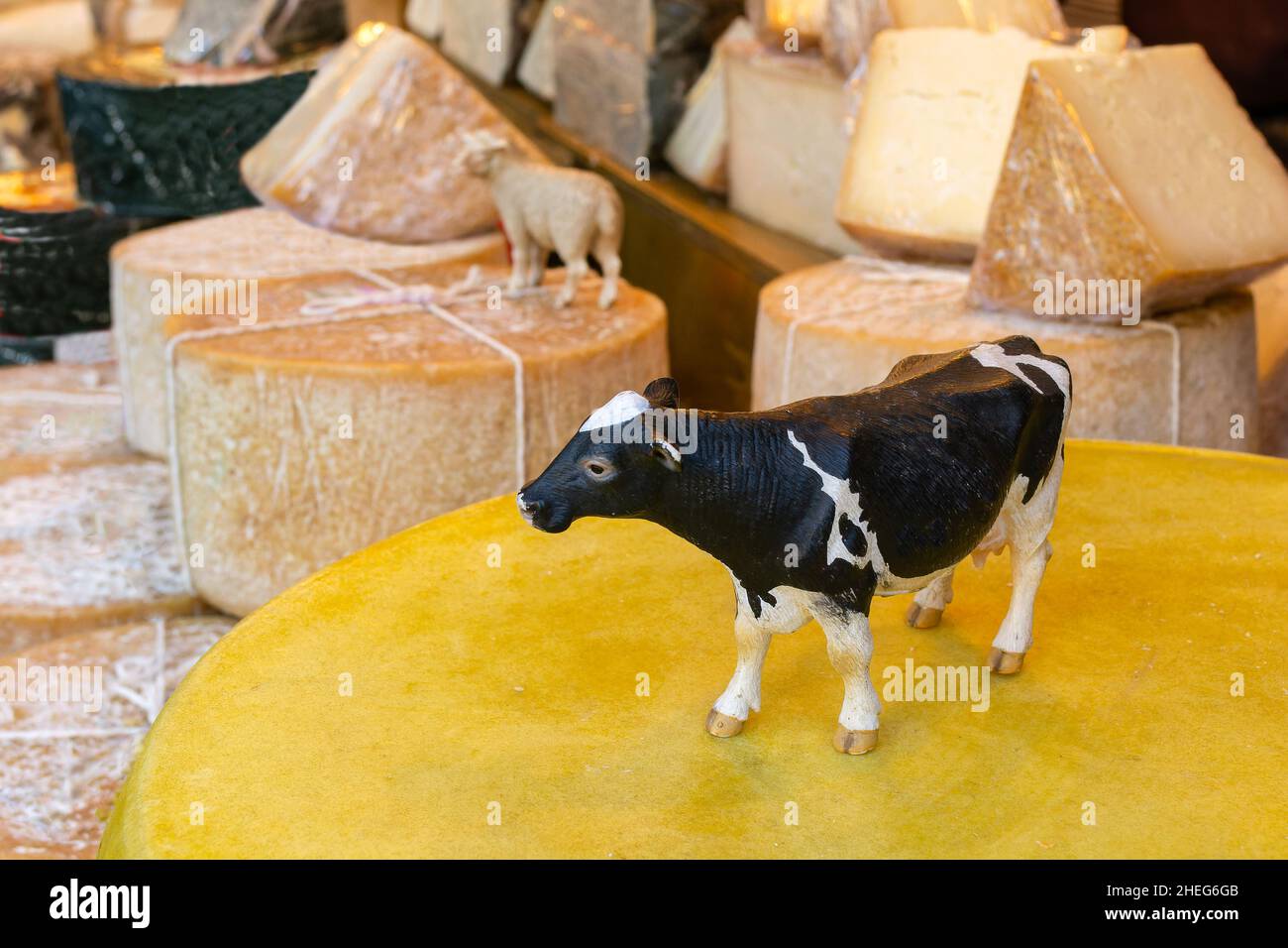 Handmade cow and sheep cheese cut and with animal figures on top Stock ...