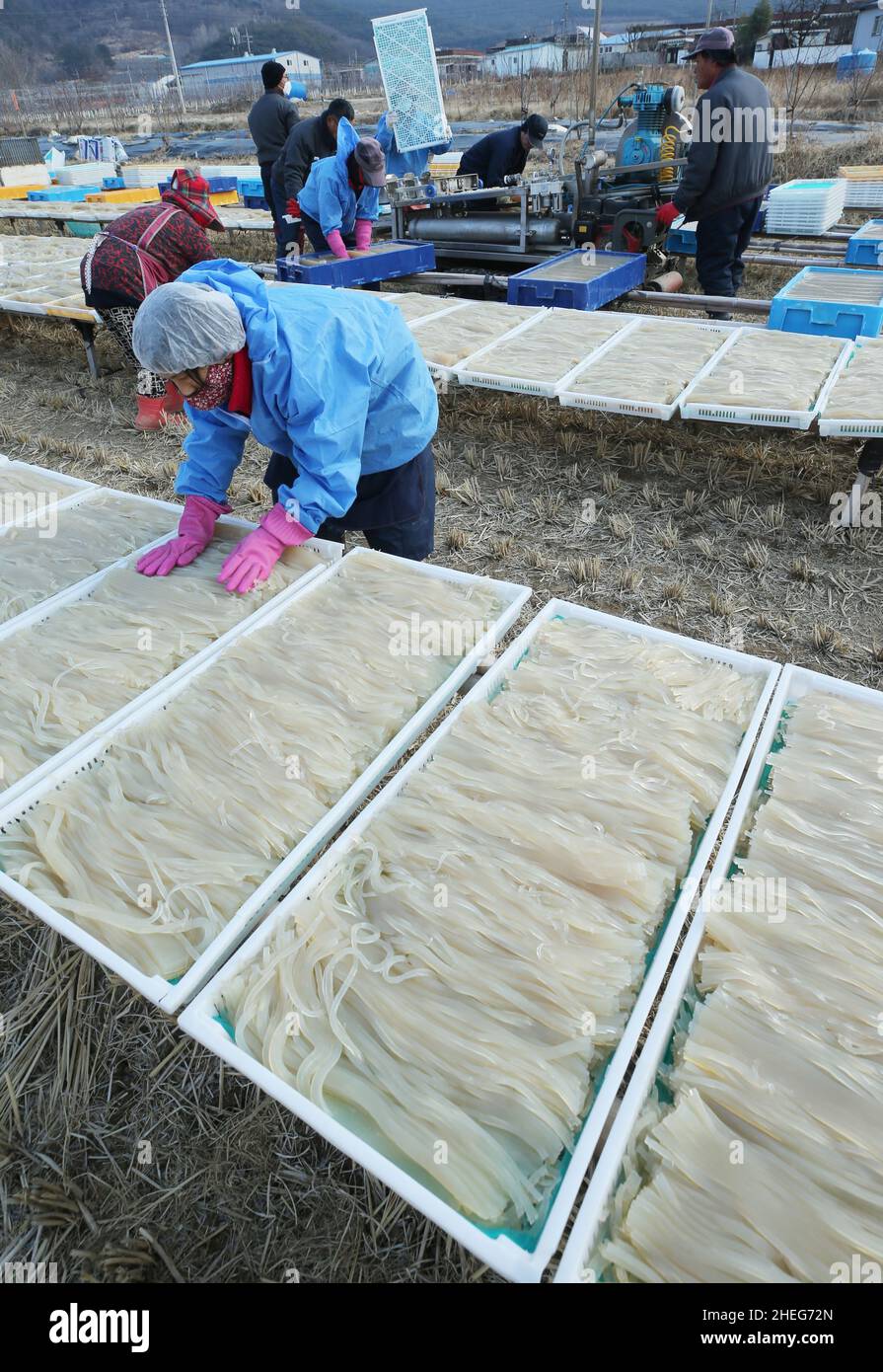 Agar agar drying hi-res stock photography and images - Alamy