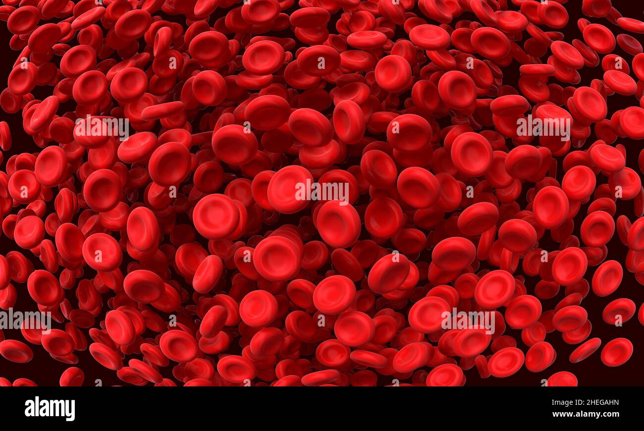 erythrocytes 3d rendering Stock Photo - Alamy