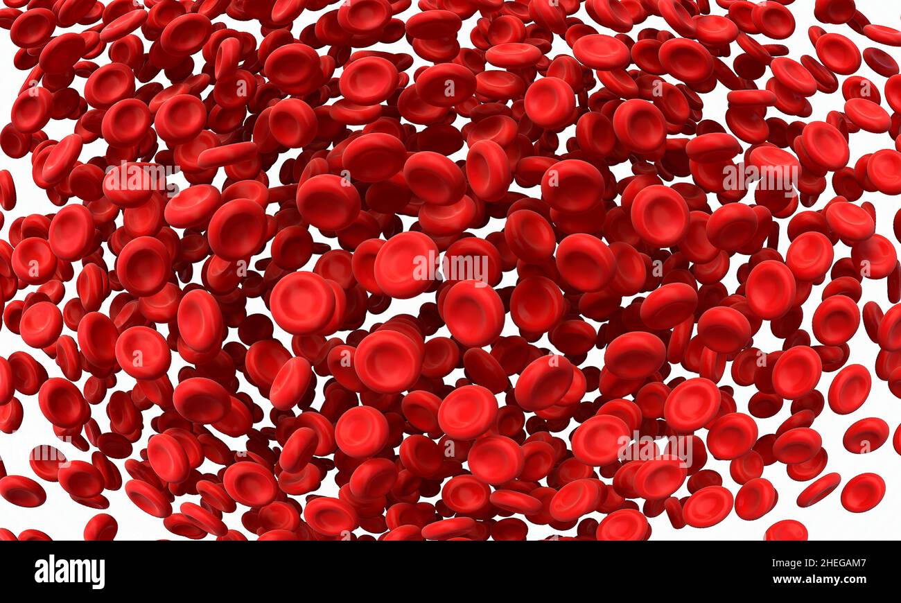erythrocytes 3d rendering Stock Photo - Alamy