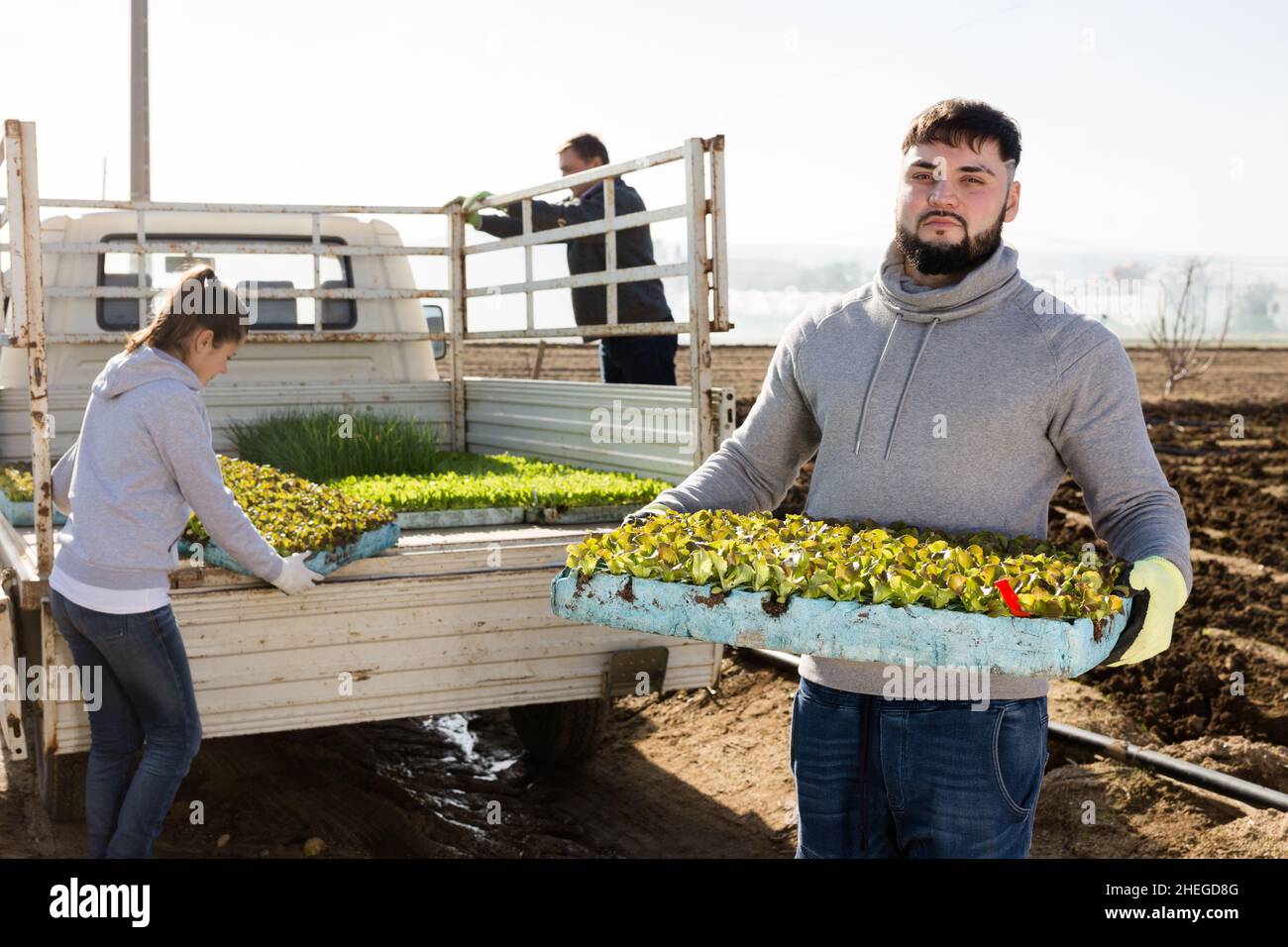 Truck unloading vegetables hi-res stock photography and images - Alamy