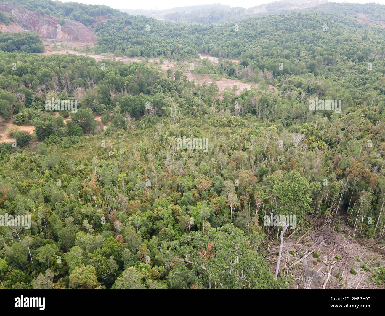 Rainforest deforestation aerial view hi-res stock photography and ...