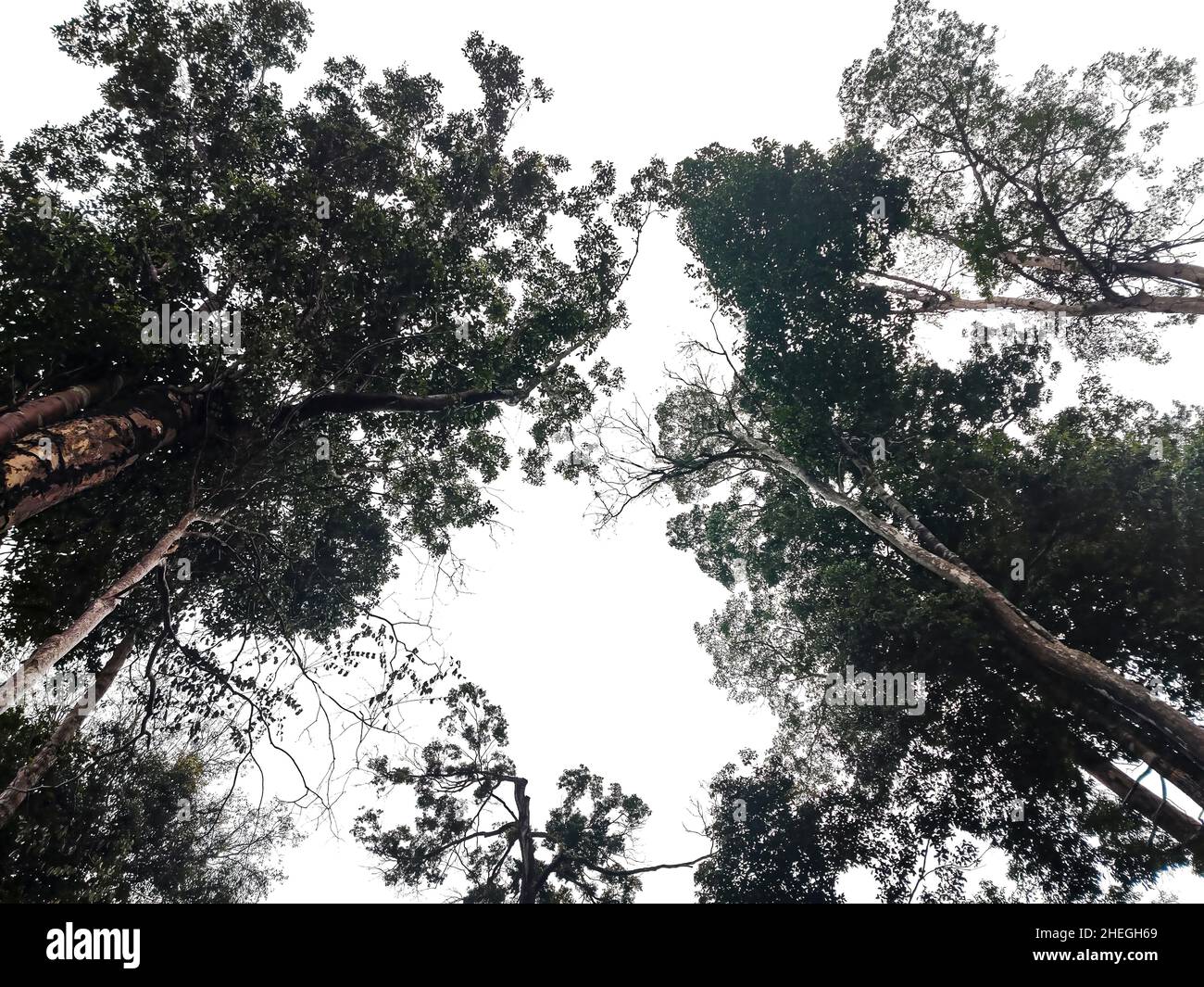 Moisture preservation hi-res stock photography and images - Alamy