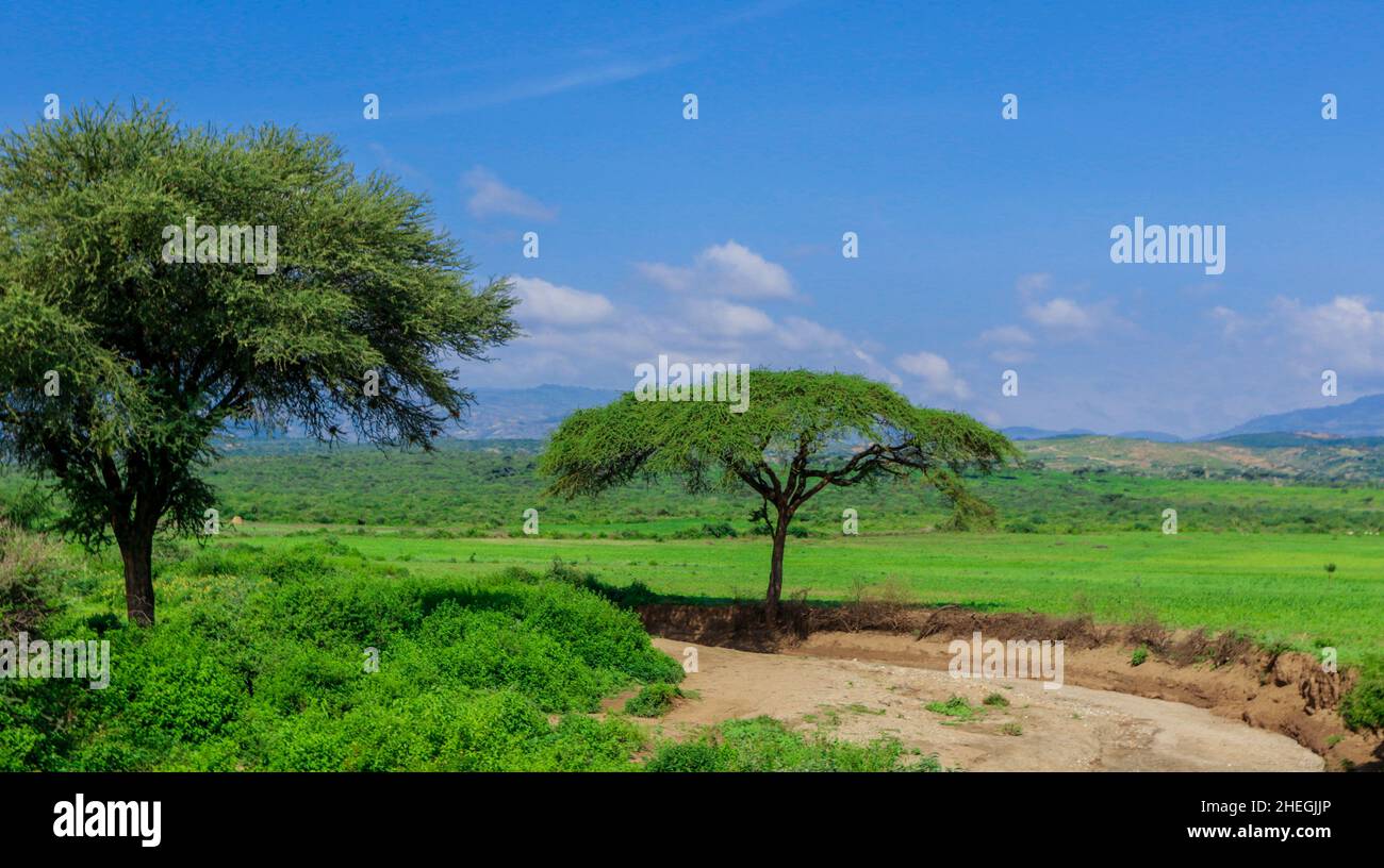 Panoramic View to the Green Trees and Mountains under Cloudy Blue Sky ...
