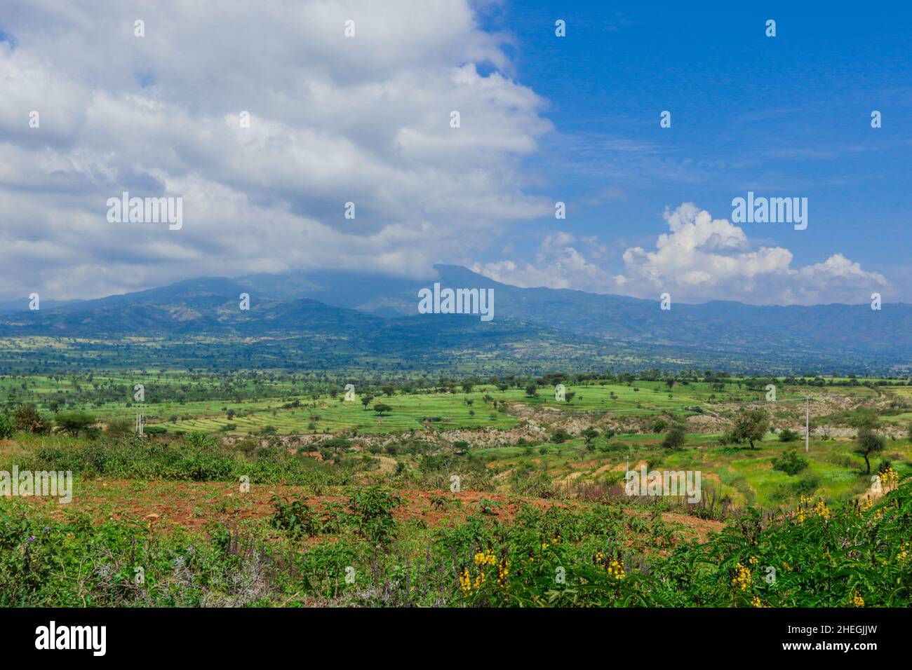 Panoramic View to the Green Trees and Mountains under Cloudy Blue Sky ...