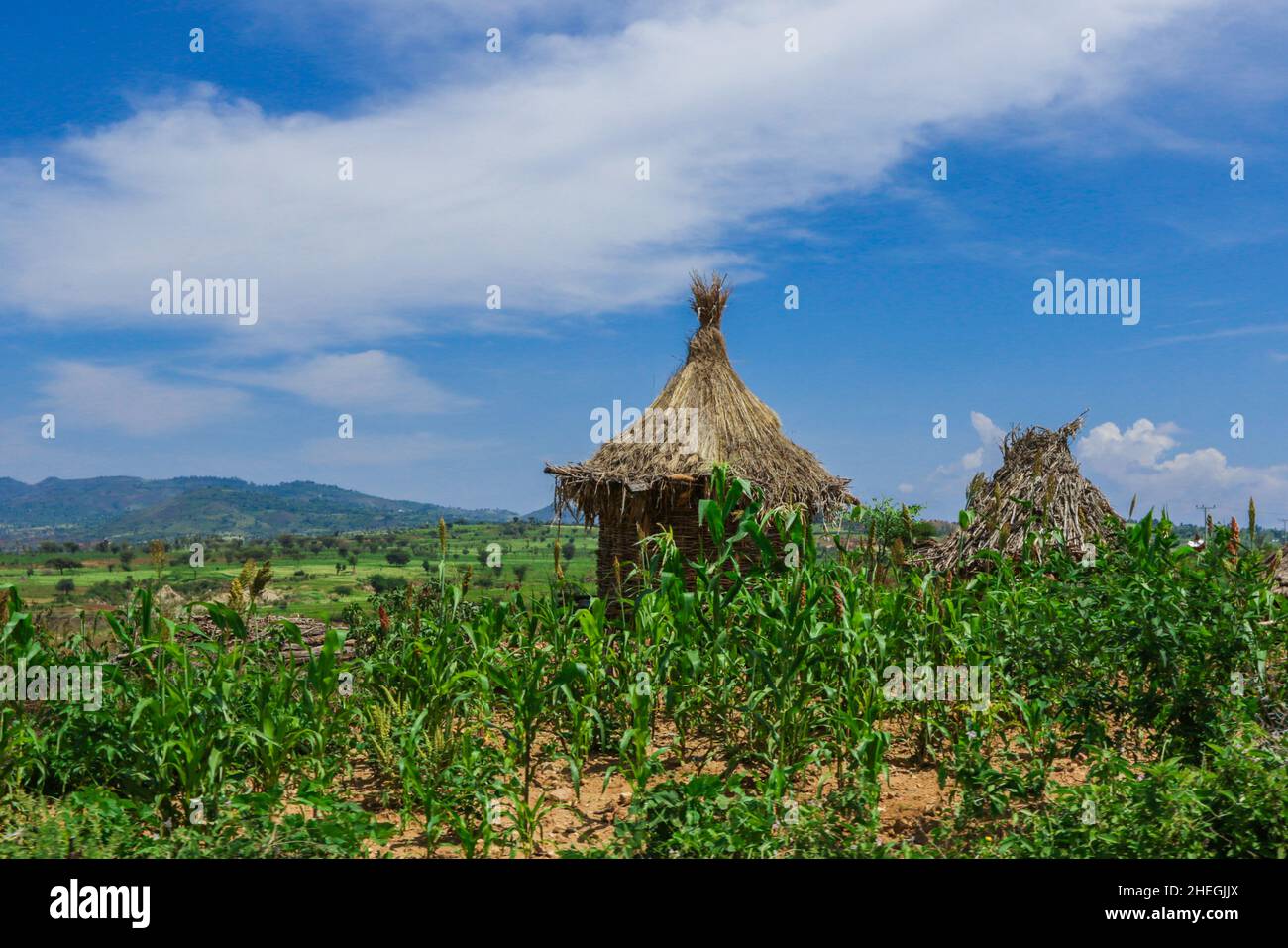 Panoramic View to the Green Trees and Mountains under Cloudy Blue Sky ...