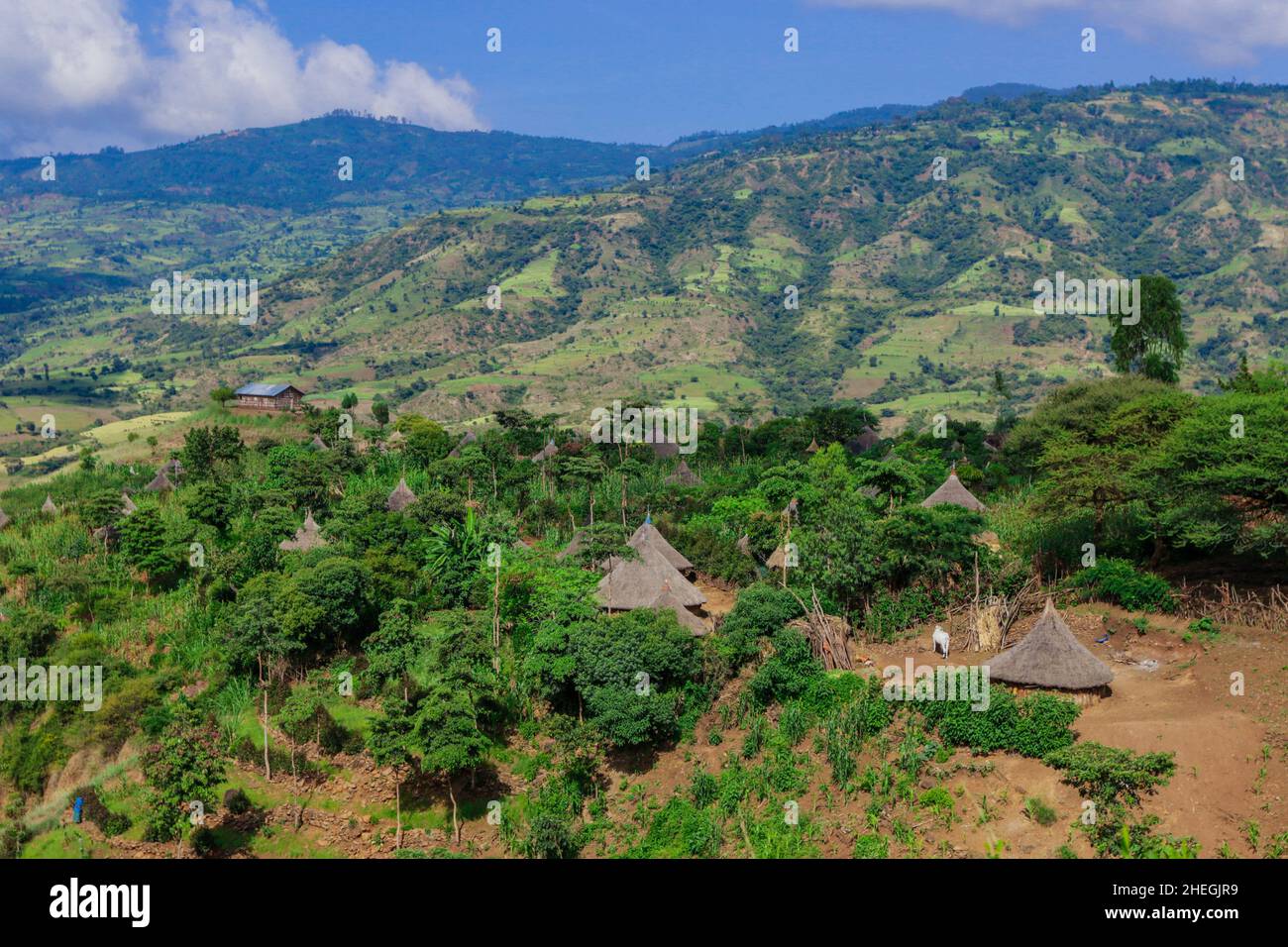 Panoramic View to the Tribal Wooden Dwellings among Green Grass and ...