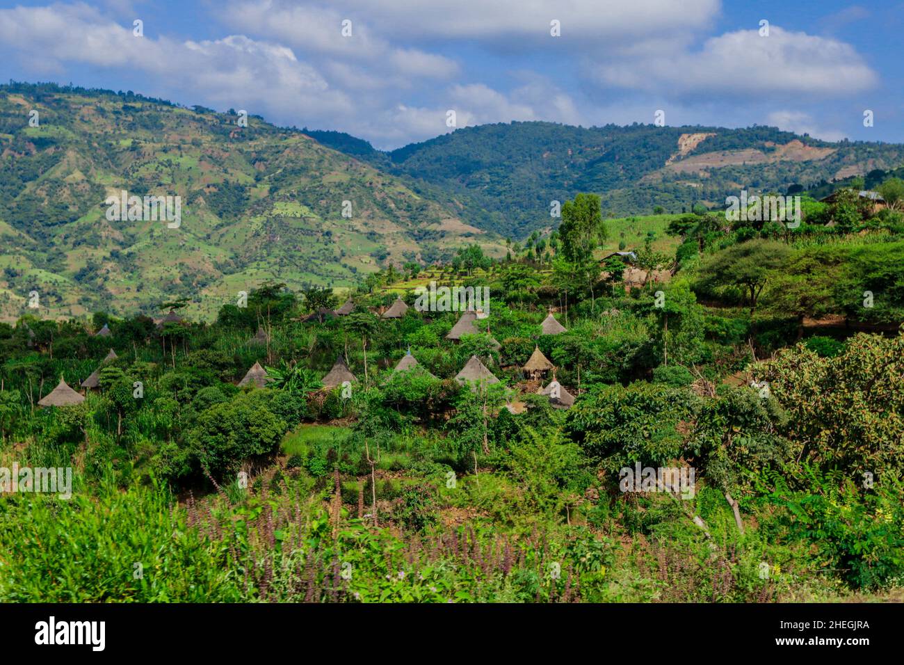 Panoramic View to the Tribal Wooden Dwellings among Green Grass and ...