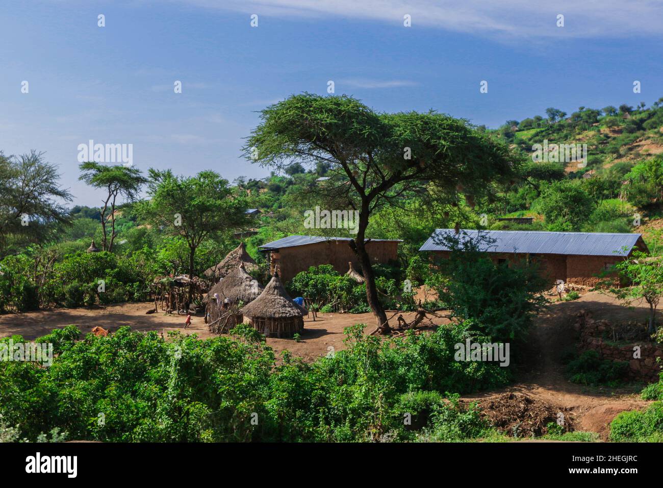 Panoramic View to the Tribal Wooden Dwellings among Green Grass and ...