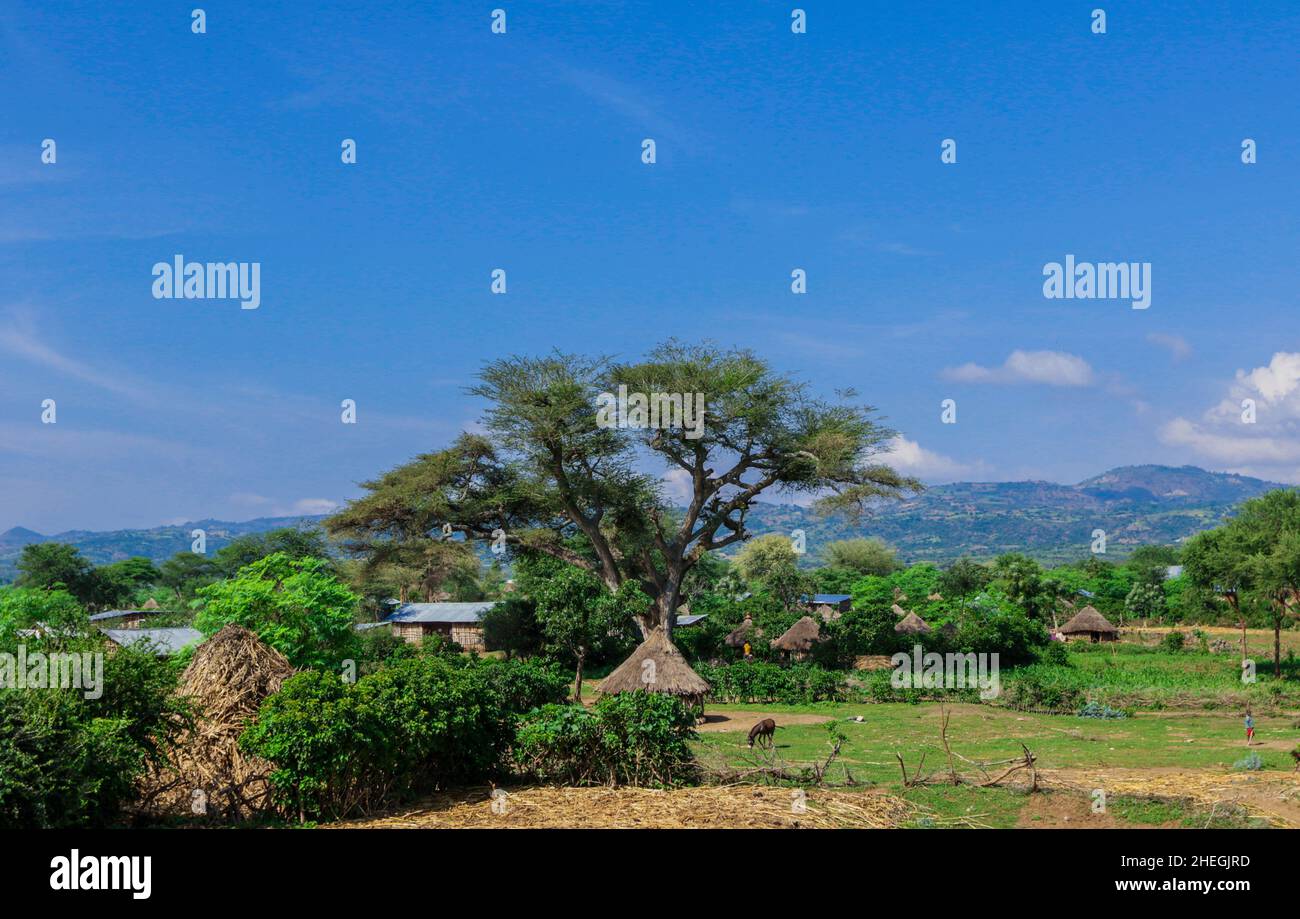 Panoramic View to the Tribal Wooden Dwellings among Green Grass and ...