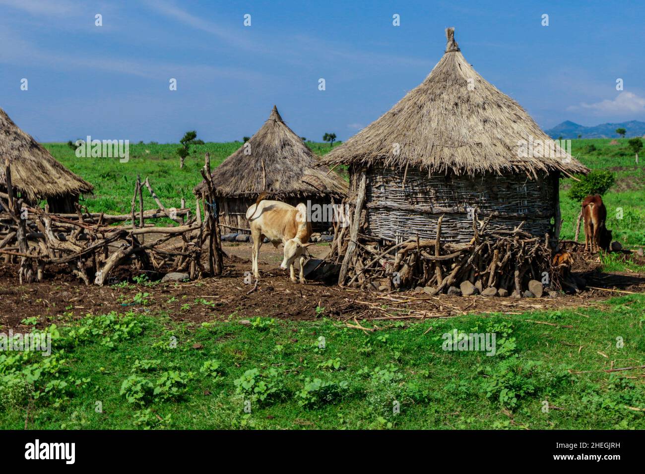 African tribal villages hi-res stock photography and images - Alamy