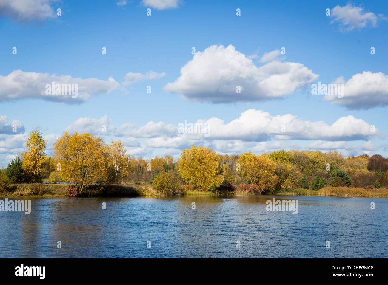 Autumn forest behind the lake. Sky with sun and white clouds. Red-green ...