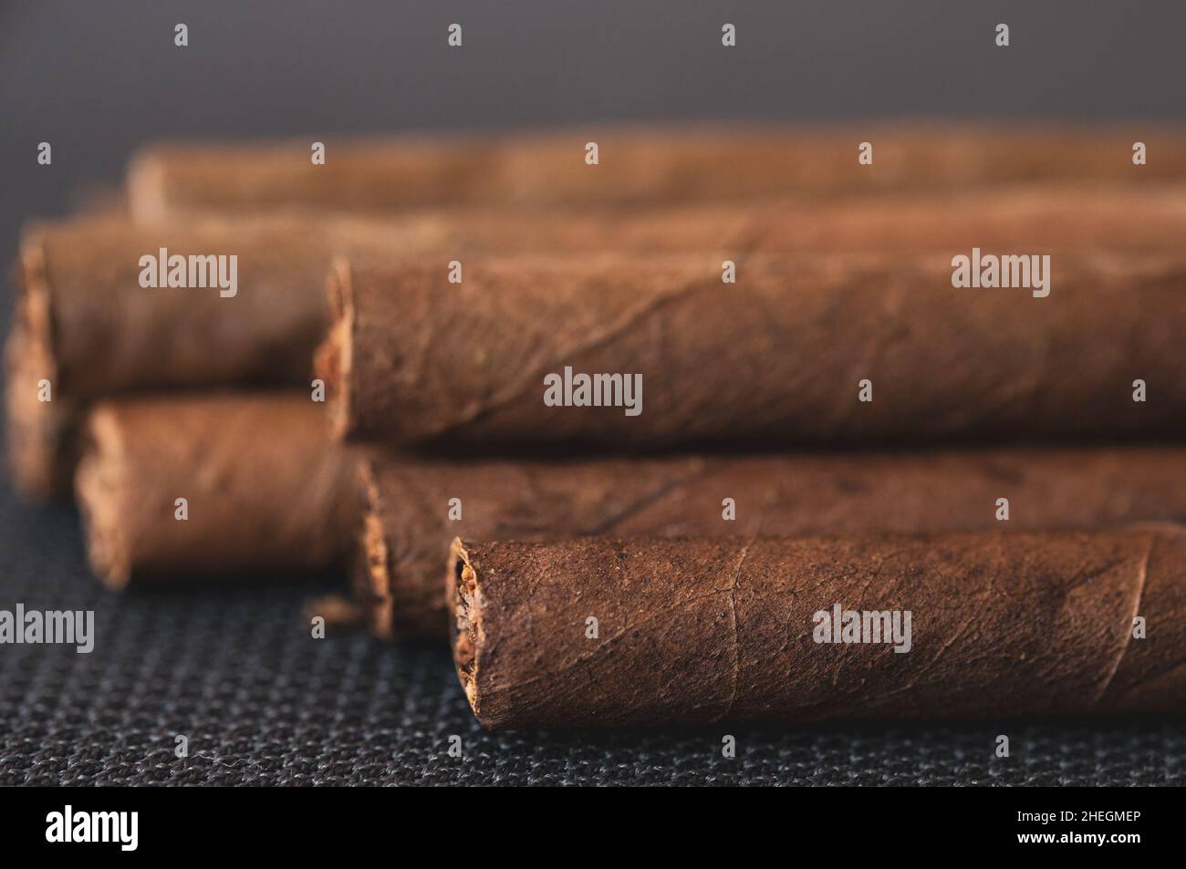 Little aroma cigars, close up. Tobacco smoking concept. Little depth of ...