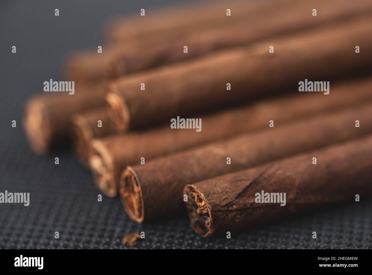 Little aroma cigars, close up. Tobacco smoking concept. Little depth of ...