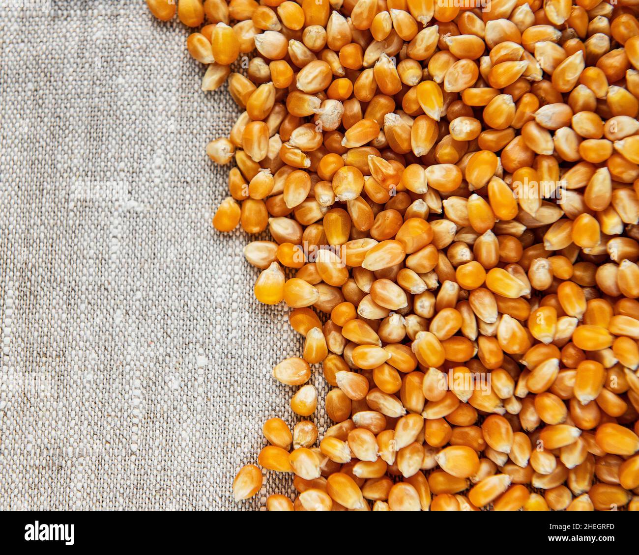 Dry Corn seeds on a old textile background Stock Photo - Alamy