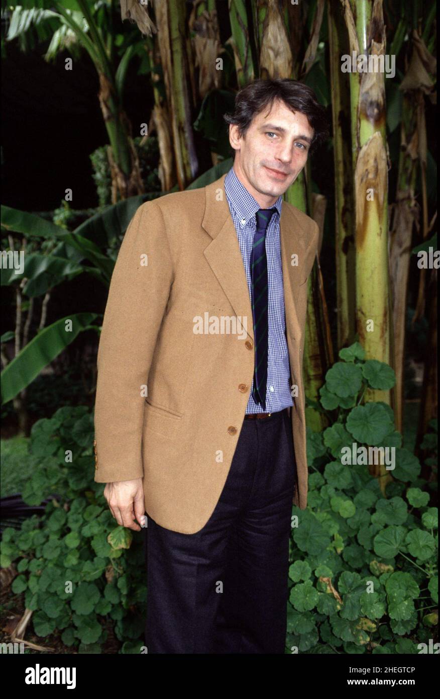 Retrospettiva Di David Sassoli Stock Photo - Alamy