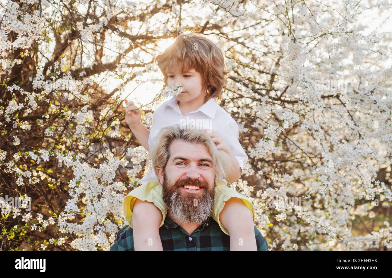 Spring lovely family. Father and son. Dad child shoulder ride Stock ...
