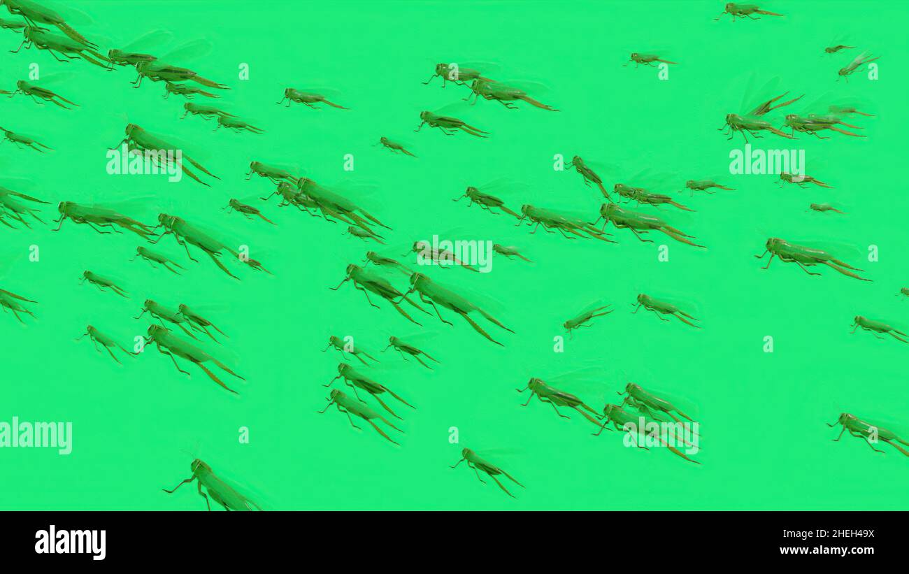 3d illustration - featuring a swarm of thousands of locusts flying into ...