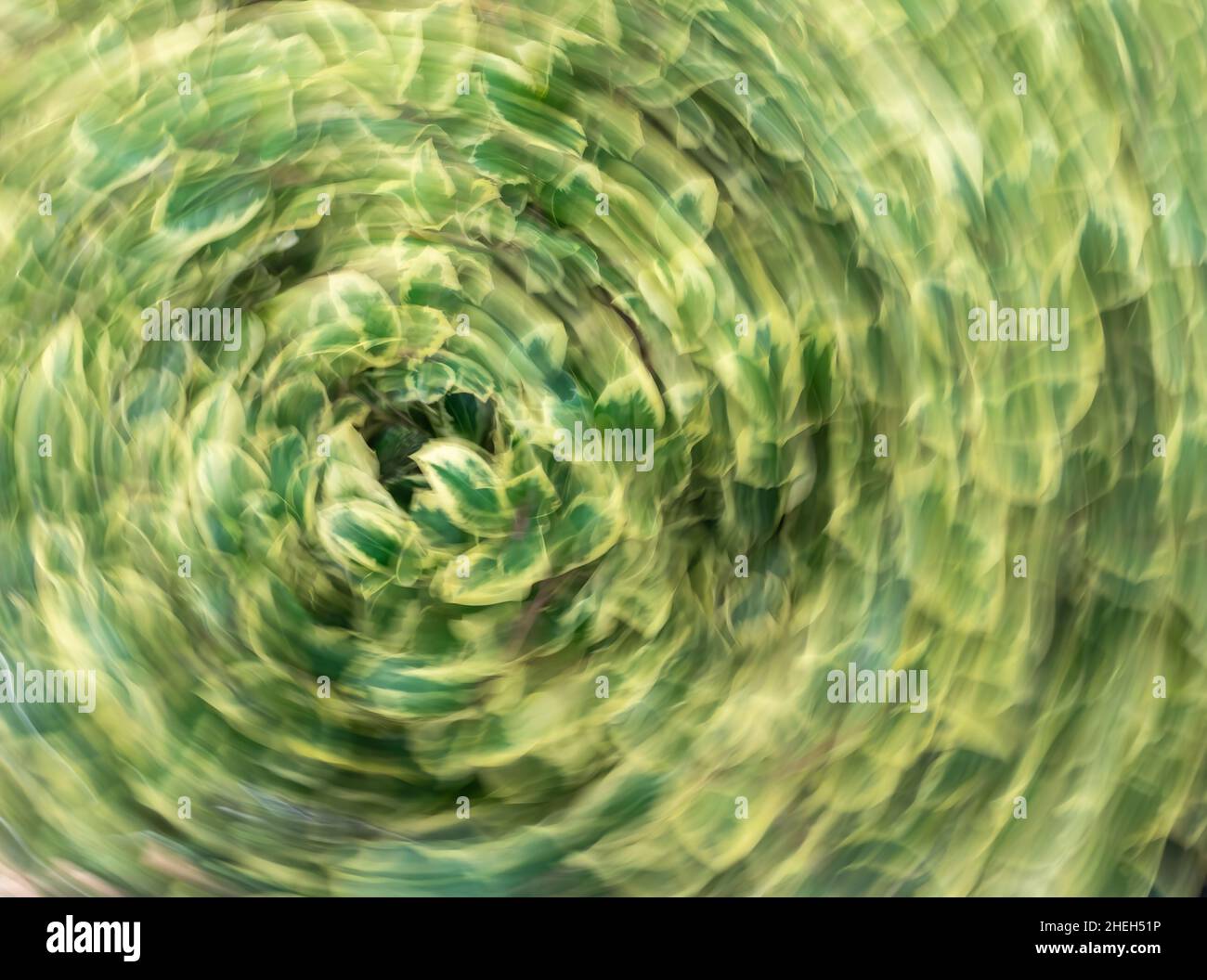 Abstract photo - intentional camera movement (ICM ) technique to create ...