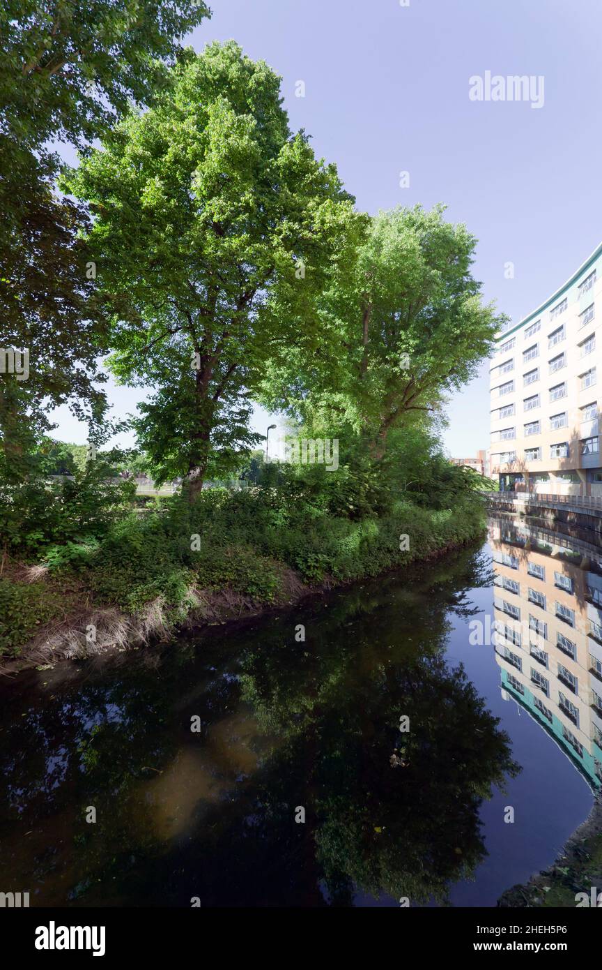 Riverside Building, Lewisham Hospital, shot from Ladywell Fields ...
