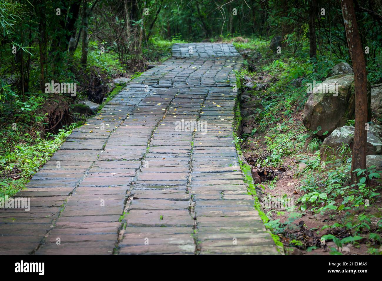 Stone pathway passing thru the Waterfall , Thailand Stock Photo - Alamy