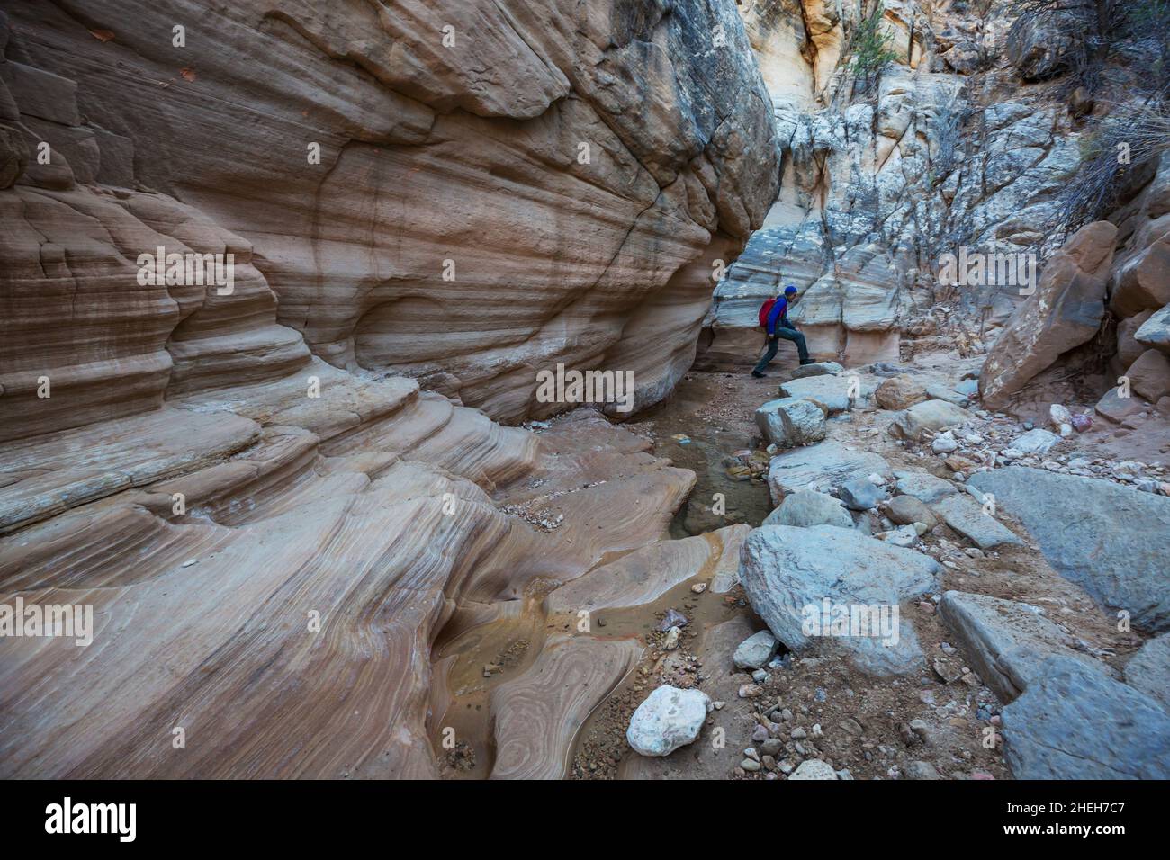 Slot canyon in Grand Staircase Escalante National park, Utah, USA ...