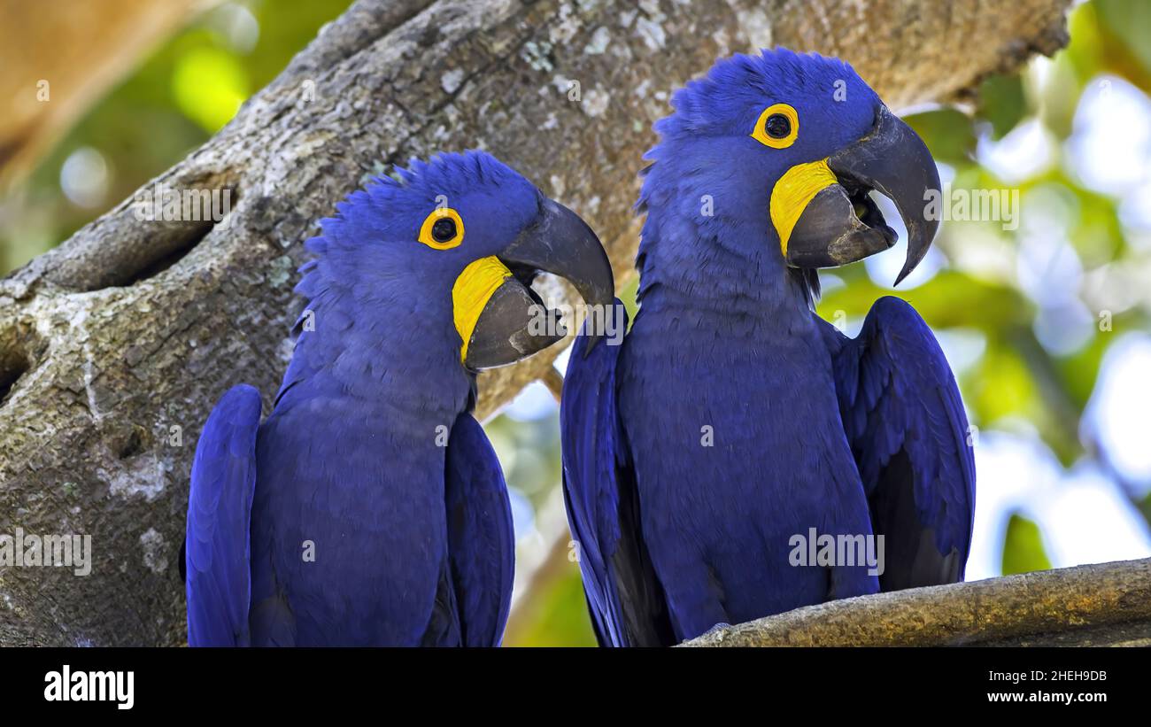 P and c meeting hi-res stock photography and images - Alamy